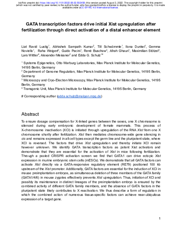 (PDF) GATA transcription factors drive initial Xist upregulation after ...