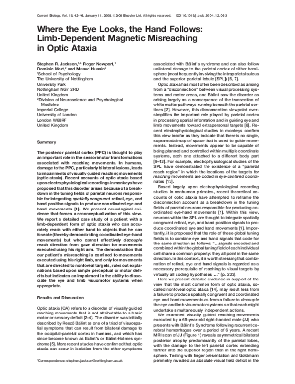 (PDF) Where the Eye Looks, the Hand Follows