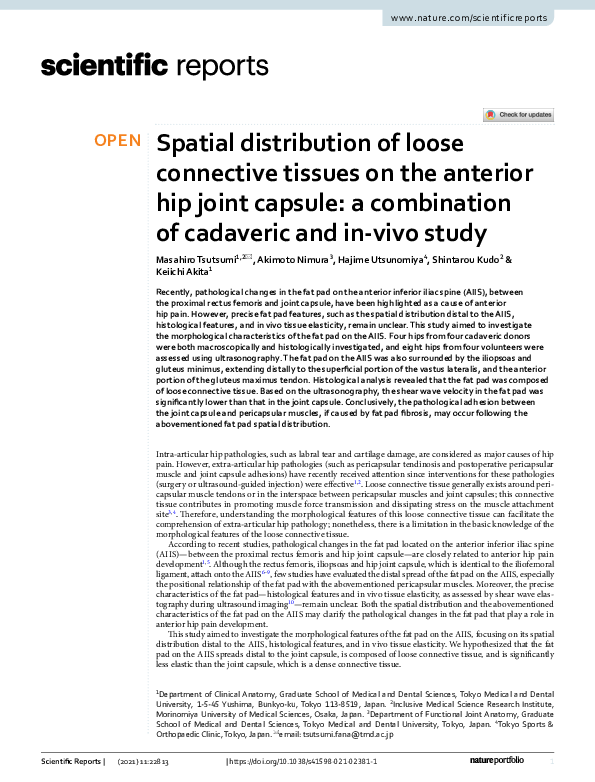 (PDF) Spatial distribution of loose connective tissues on the anterior ...