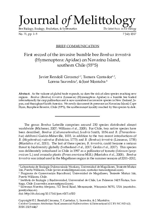 (PDF) First record of the invasive bumblebee Bombus terrestris ...