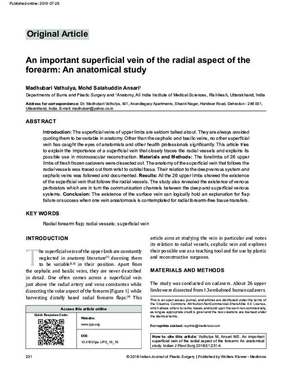 (PDF) An important superficial vein of the radial aspect of the forearm ...