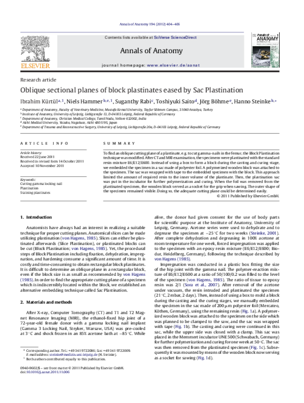 (PDF) Oblique sectional planes of block plastinates eased by Sac ...