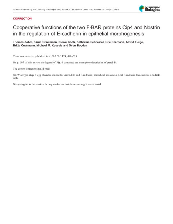 (PDF) Cooperative functions of the two F-BAR proteins Cip4 and Nostrin ...