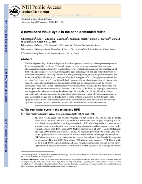 (PDF) A novel cone visual cycle in the cone-dominated retina