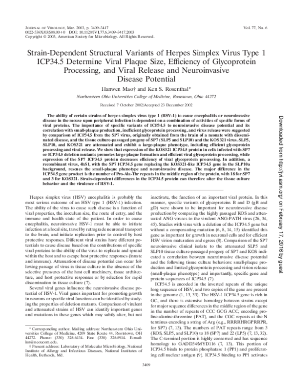 (PDF) Strain-Dependent Structural Variants of Herpes Simplex Virus Type ...