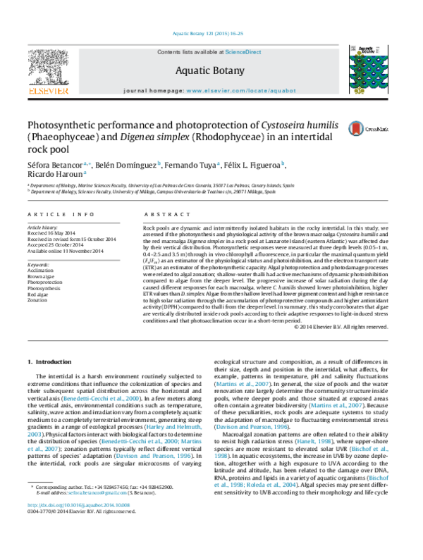(PDF) Photosynthetic performance and photoprotection of Cystoseira ...