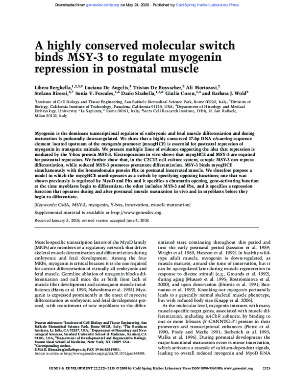 (PDF) A highly conserved molecular switch binds MSY-3 to regulate myogenin repression in ...