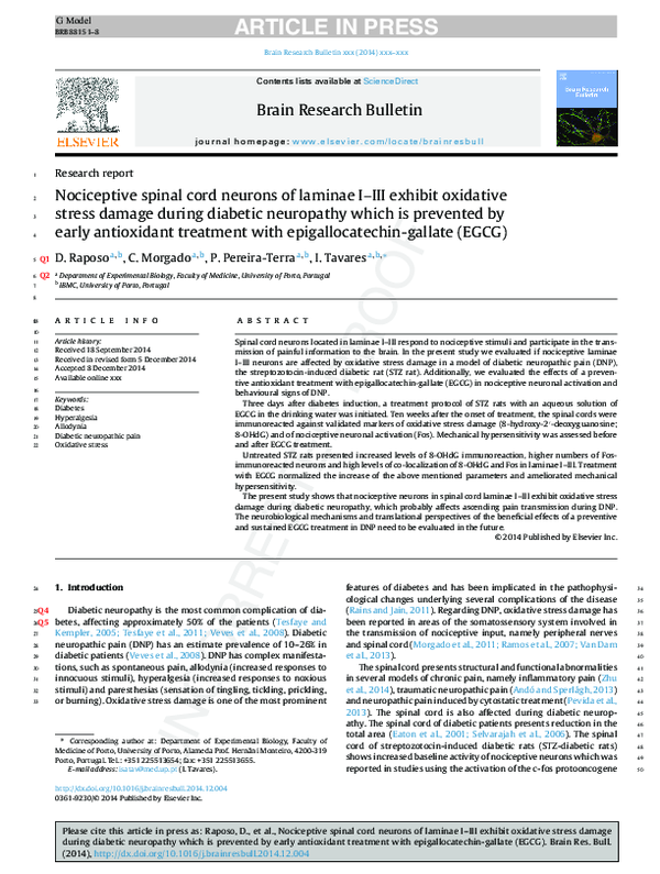 (PDF) Nociceptive spinal cord neurons of laminae I–III exhibit ...
