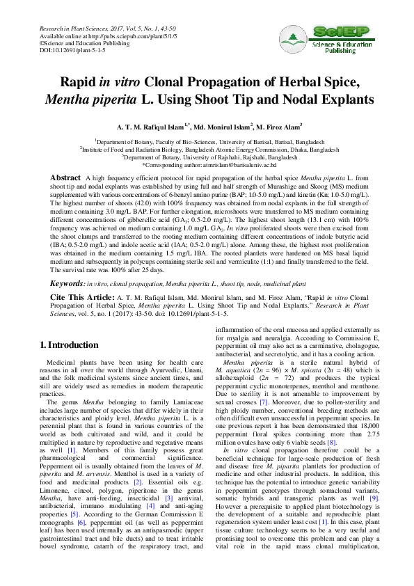 (PDF) Rapid in vitro Clonal Propagation of Herbal Spice, Mentha ...
