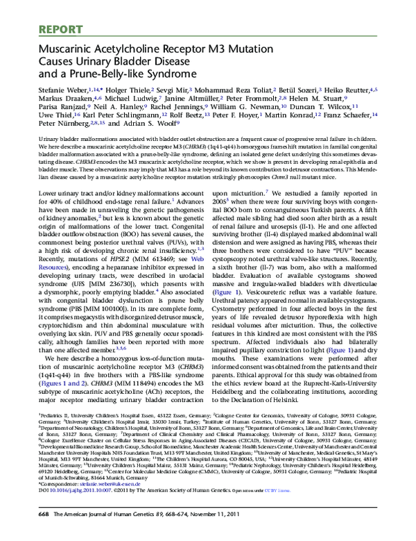 (PDF) Muscarinic Acetylcholine Receptor M3 Mutation Causes Urinary ...