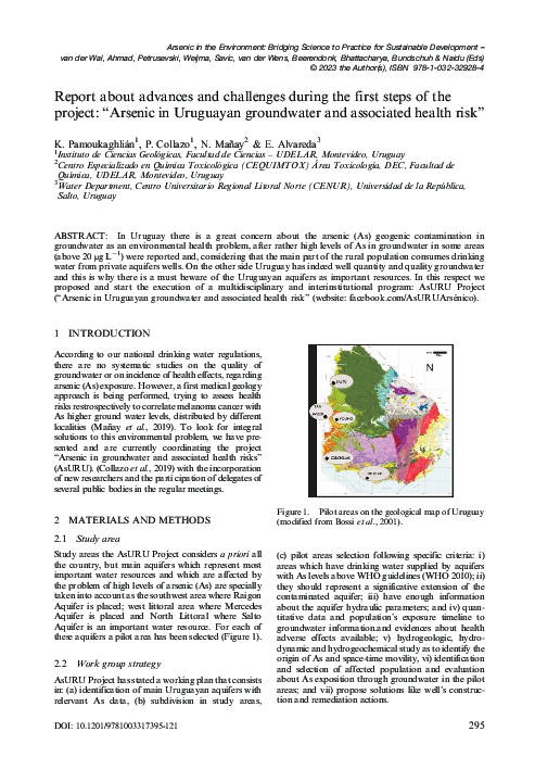 (PDF) Report about advances and challenges during the first steps of ...