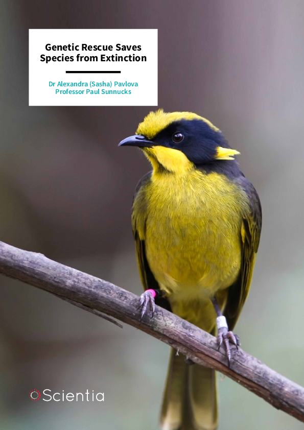 (PDF) Genetic Rescue Saves Species from Extinction
