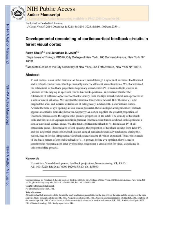 (PDF) Developmental remodeling of corticocortical feedback circuits in ferret visual cortex