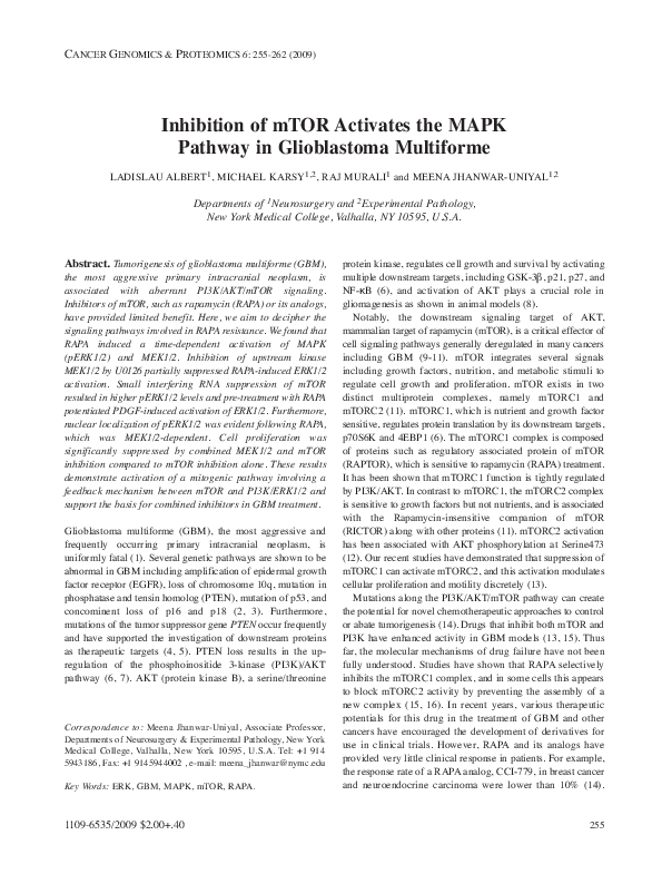 (PDF) Inhibition of mTOR Activates the MAPK Pathway in Glioblastoma ...