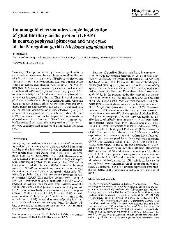 (PDF) Immunogold electron microscopic localization of glial fibrillary ...