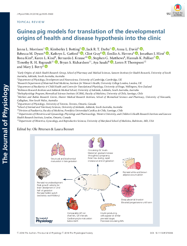 (PDF) Guinea pig models for translation of the developmental origins of ...