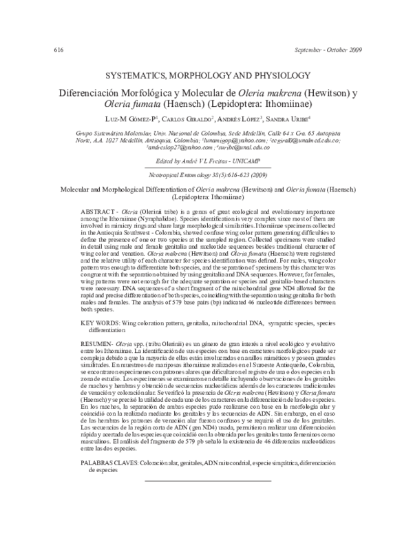 (PDF) Diferenciación morfológica y molecular de Oleria makrena ...
