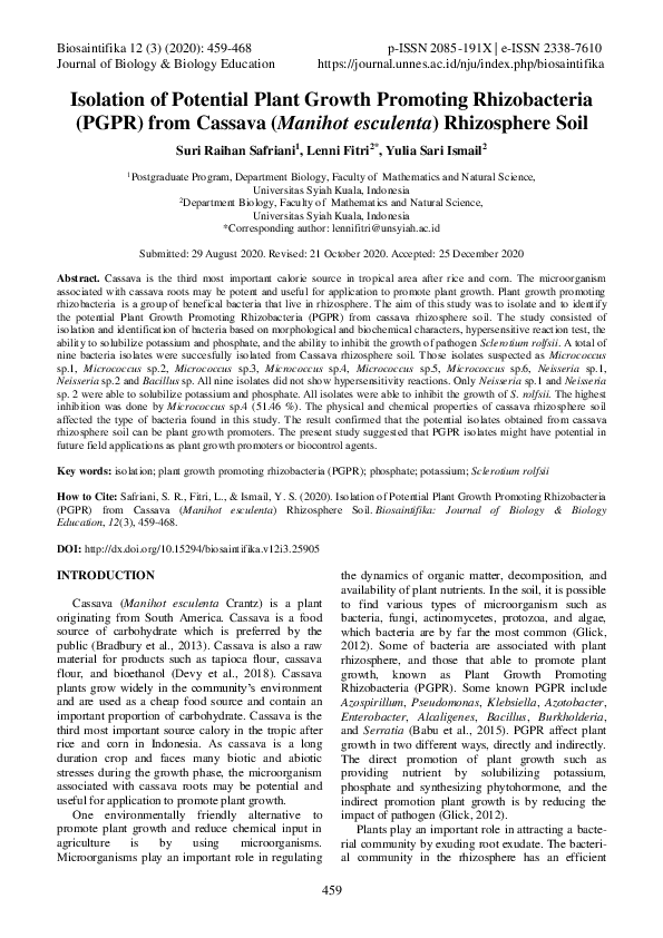 (PDF) Isolation of Potential Plant Growth Promoting Rhizobacteria (PGPR) from Cassava (Manihot ...