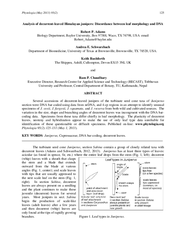 (PDF) Analysis of decurrent-leaved Himalayan junipers: Discordance ...