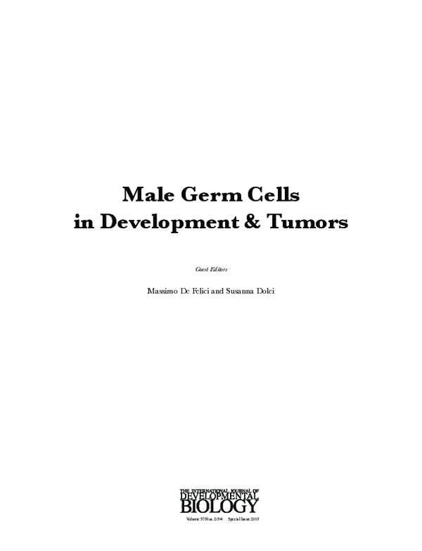 (PDF) Male germ cells and cancer: a connection among pluripotency ...