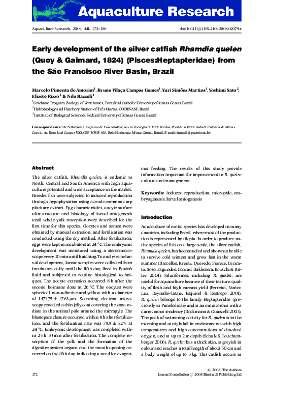 (PDF) Early development of the silver catfishRhamdia quelen(Quoy ...