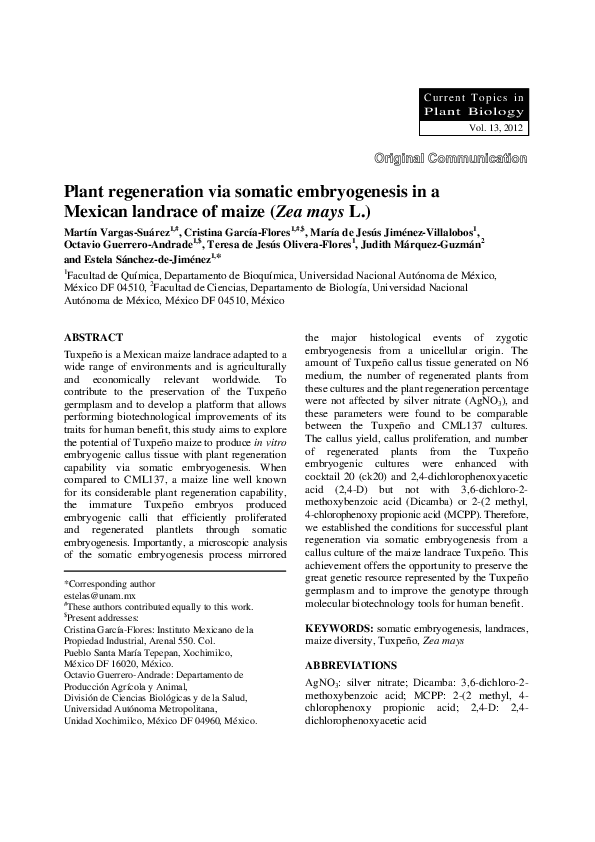 (PDF) Plant regeneration via somatic embryogenesis in a Mexican ...