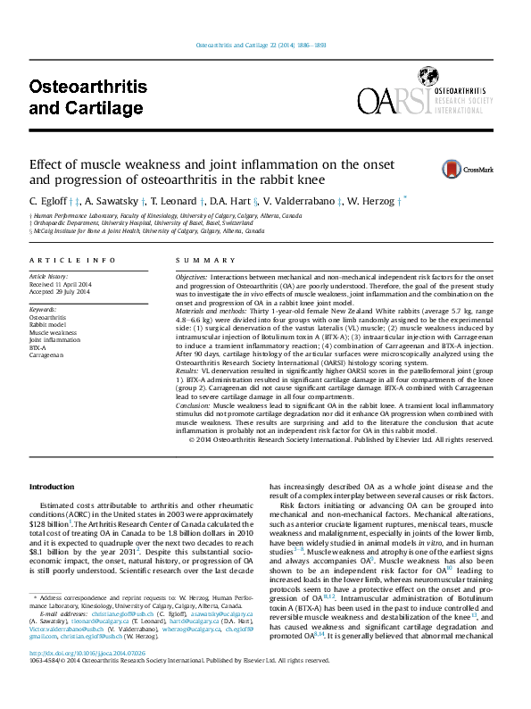 (PDF) Effect of muscle weakness and joint inflammation on the onset and ...