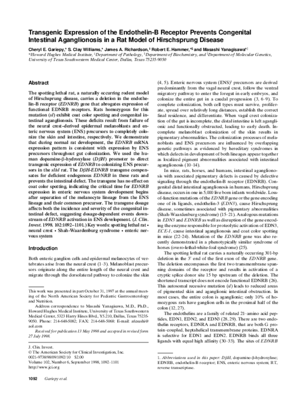 (PDF) Transgenic expression of the endothelin-B receptor prevents ...