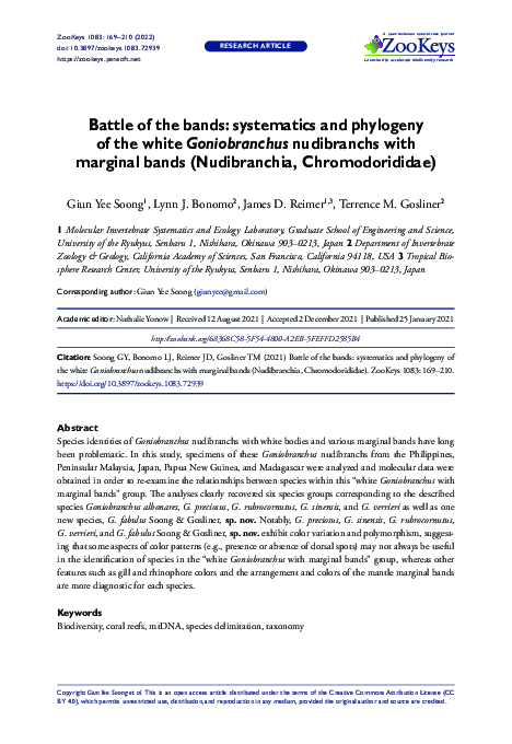 (PDF) ﻿Battle of the bands: systematics and phylogeny of the white ...