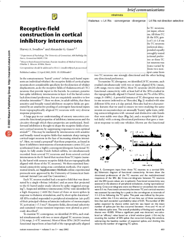 (PDF) Receptive-field construction in cortical inhibitory interneurons