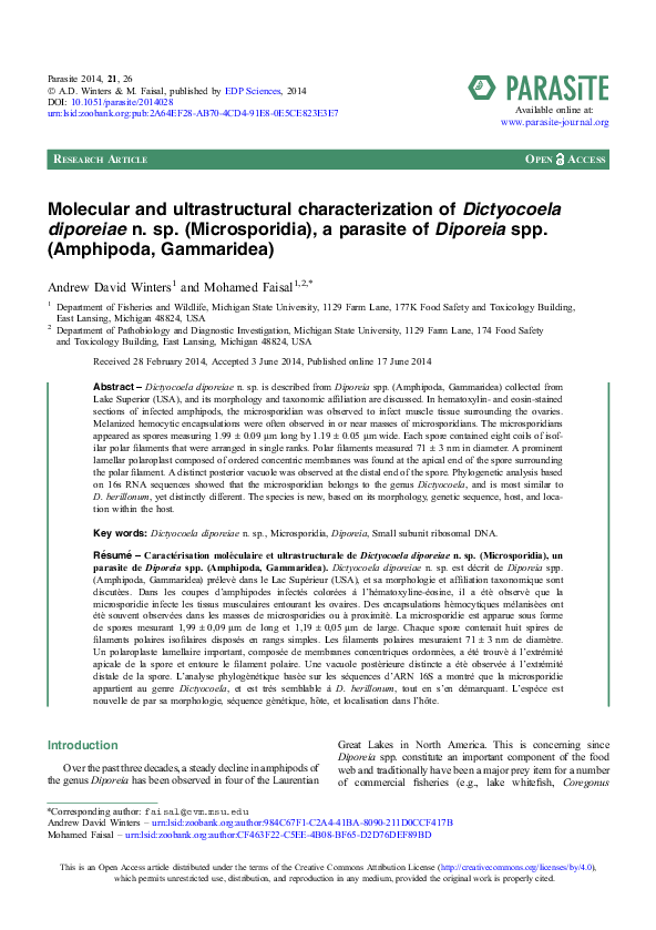 (PDF) Molecular and ultrastructural characterization of Dictyocoela ...