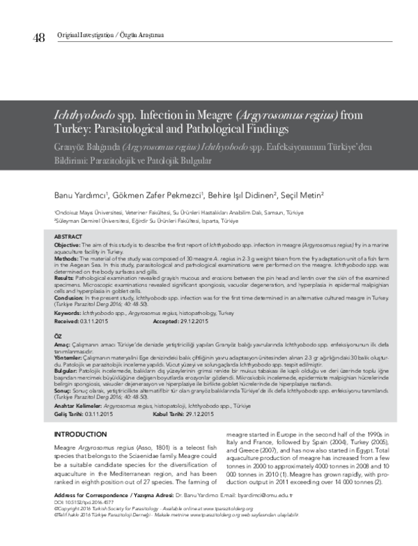 (PDF) Ichthyobodo spp. Infection in Meagre (Argyrosomus regius) from ...