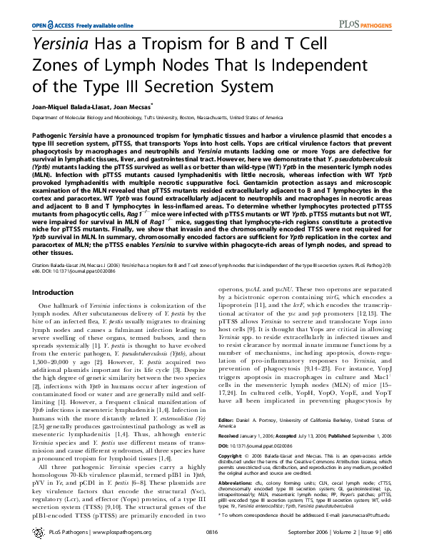 (PDF) Yersinia Has a Tropism for B and T Cell Zones of Lymph Nodes That ...