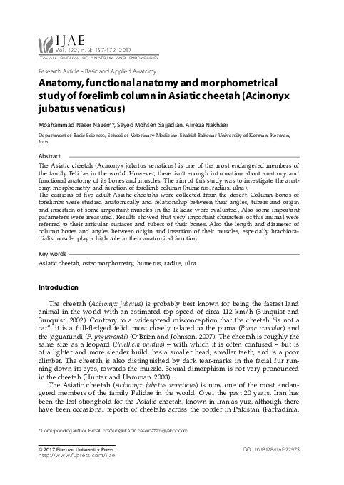 (PDF) Anatomy, functional anatomy and morphometrical study of forelimb ...