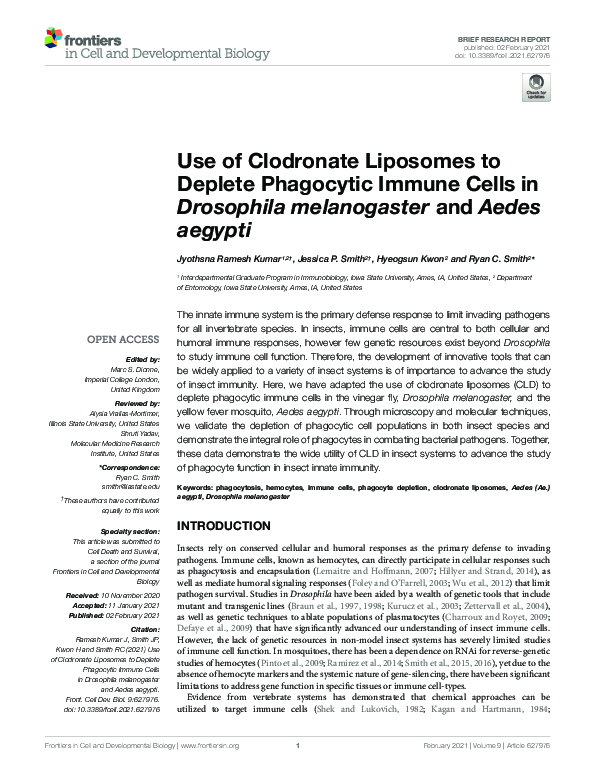(PDF) Use of Clodronate Liposomes to Deplete Phagocytic Immune Cells in ...