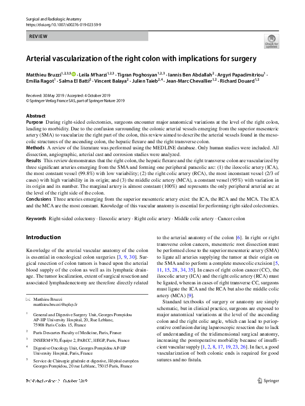 (PDF) Arterial vascularization of the right colon with implications for ...