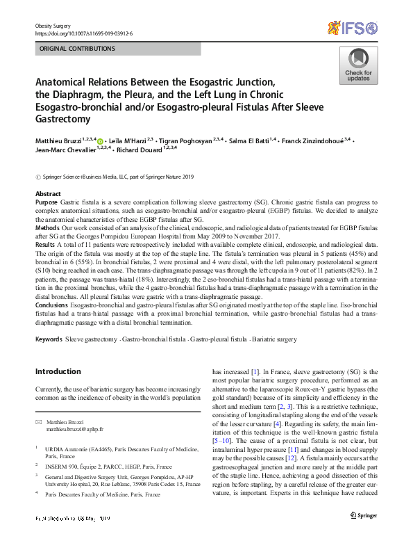 (PDF) Anatomical Relations Between the Esogastric Junction, the ...