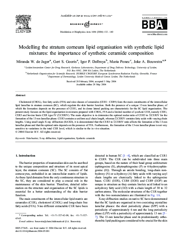 (PDF) Modelling the stratum corneum lipid organisation with synthetic ...
