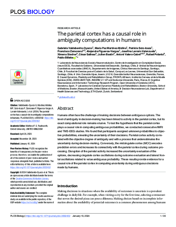 (PDF) The parietal cortex has a causal role in ambiguity computations ...