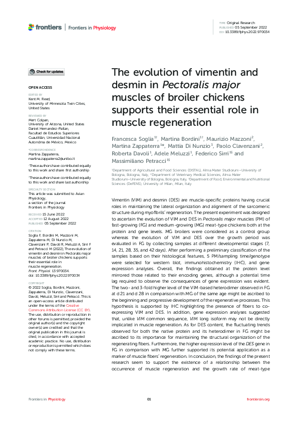 (PDF) The evolution of vimentin and desmin in Pectoralis major muscles ...