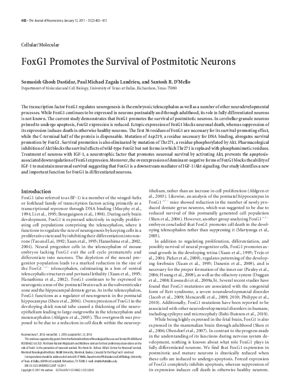 (PDF) FoxG1 Promotes the Survival of Postmitotic Neurons