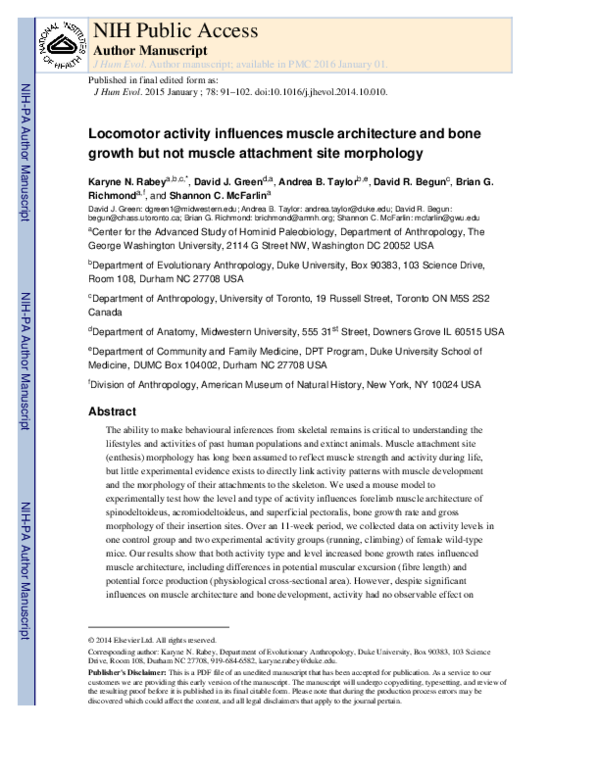 (PDF) Locomotor activity influences muscle architecture and bone growth but not muscle ...