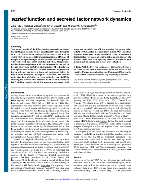 (PDF) Sizzled Function and Secreted Factor Network Dynamics