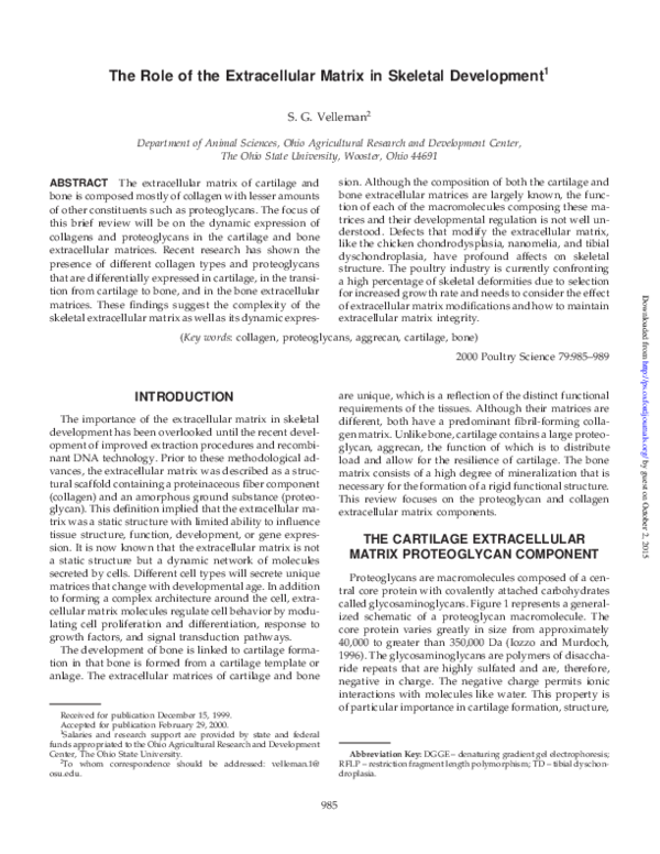 (PDF) The Role of the Extracellular Matrix in Skeletal Development