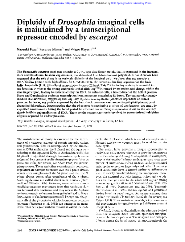 (PDF) Diploidy of Drosophila imaginal cells is maintained by a ...