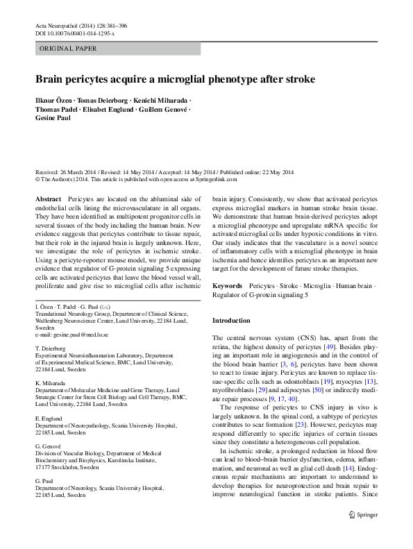 (PDF) Brain pericytes acquire a microglial phenotype after stroke