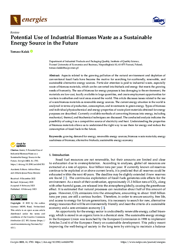(PDF) Potential Use of Industrial Biomass Waste as a Sustainable Energy ...