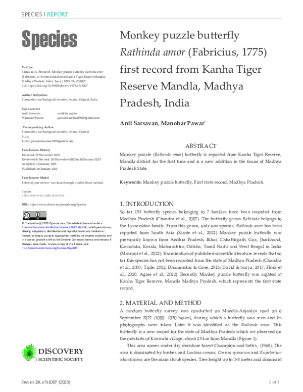 (PDF) Monkey puzzle butterfly Rathinda amor (Fabricius, 1775) first ...
