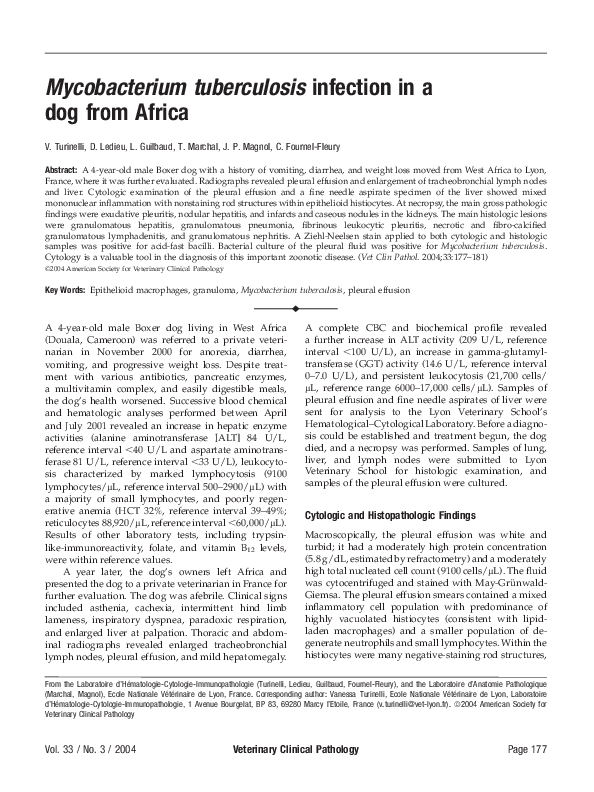(PDF) Mycobacterium tuberculosis infection in a dog from Africa