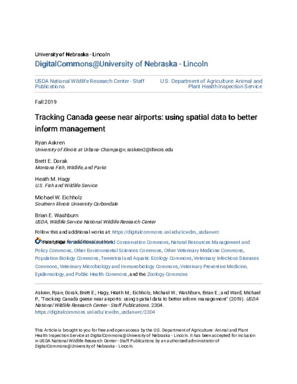 (PDF) Tracking Canada geese near airports: using spatial data to better ...